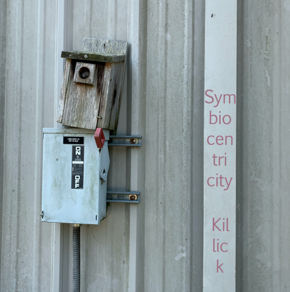 A Portrait of the Artist – Rick Toone